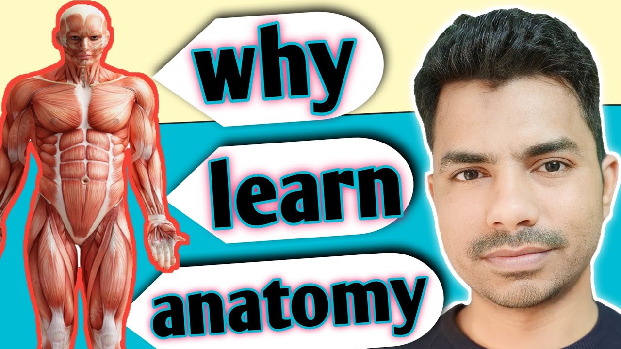 Why learn anatomy #health #fitness #gym #fitnessmotivation # ...