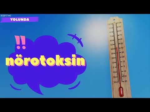 Yoksa CIVA (Hg) bir zehir mi?
