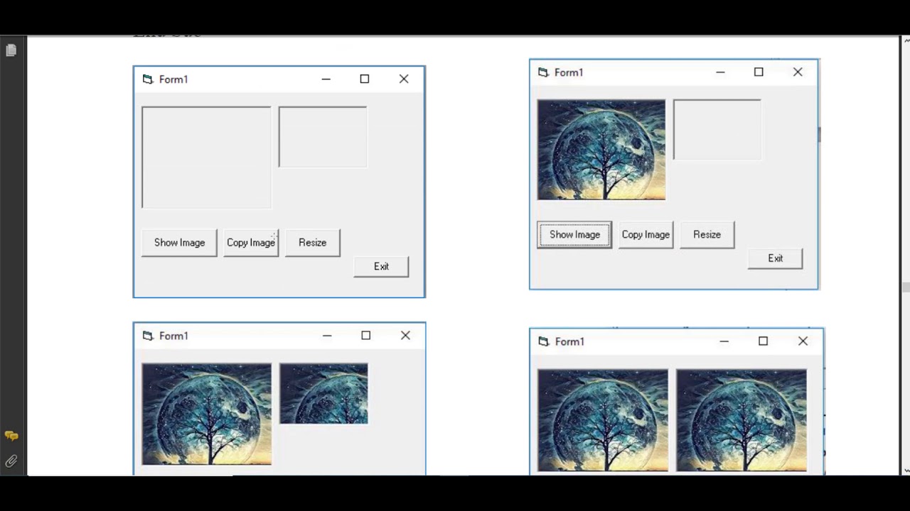 Lecture three | Picture Box, Checkbox and option button | Second Year ...