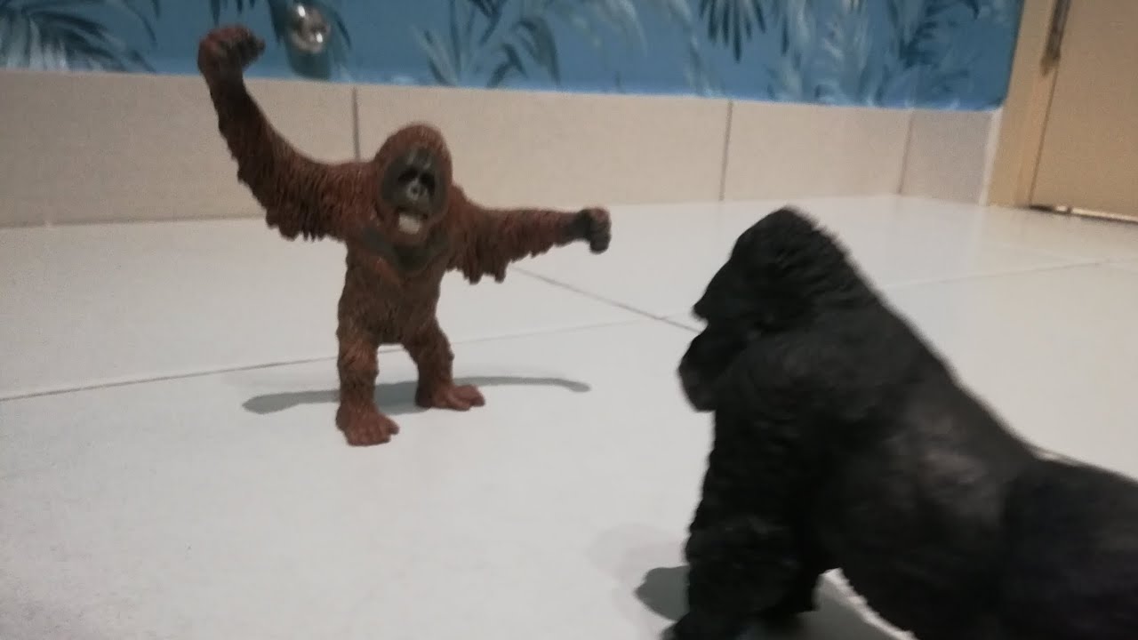 The chimpy world ep18: Ape talk - YouTube