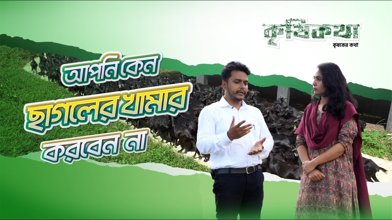 আপনি কেন ছাগলের খামার করবেন না । chagoler khamar। Goat Farming in BD ...