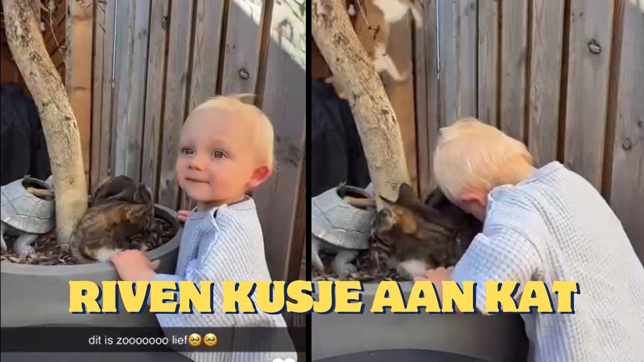 Riven Knol knuffelt kat - YouTube