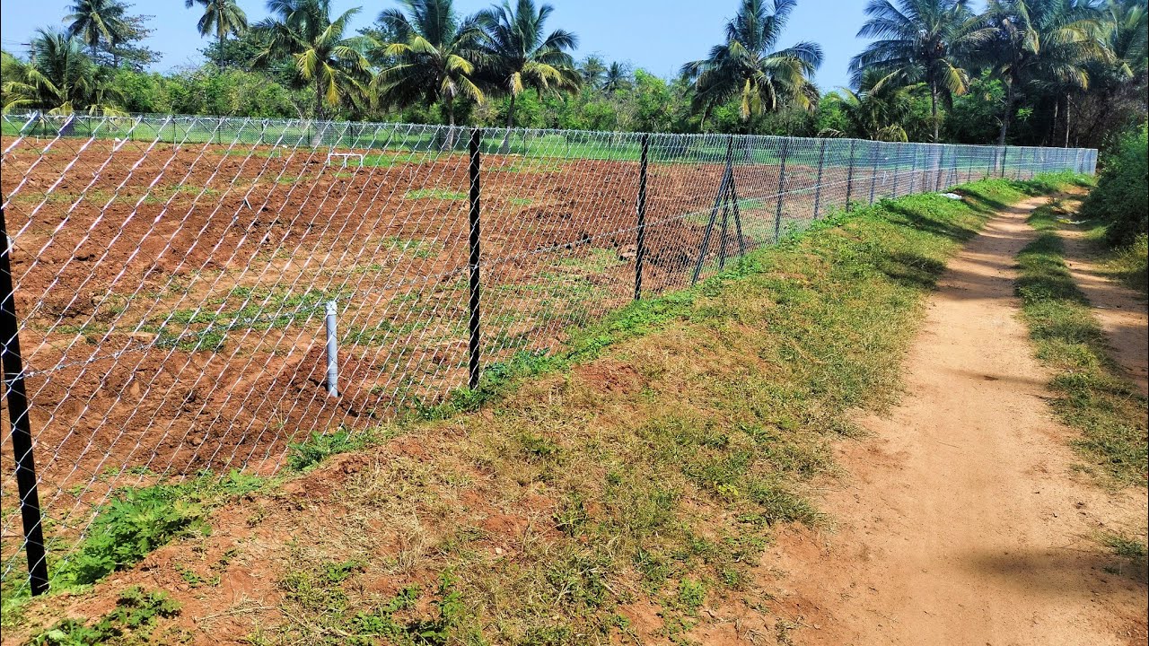 Our new project - 5 Acre coconut Farm Development (Land preparation ...