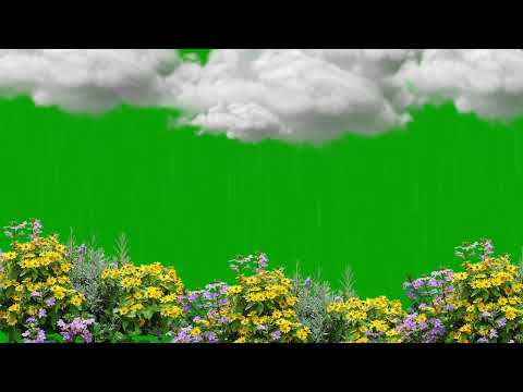 green screen rain fall