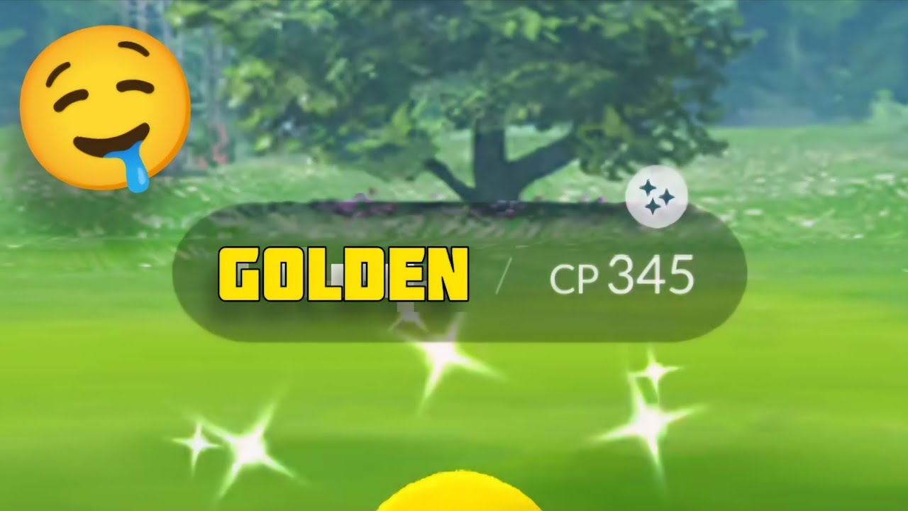 🤤 This Cute Golden Shiny In Wild!! (Not Magikarp) || Pokémon Go - YouTube