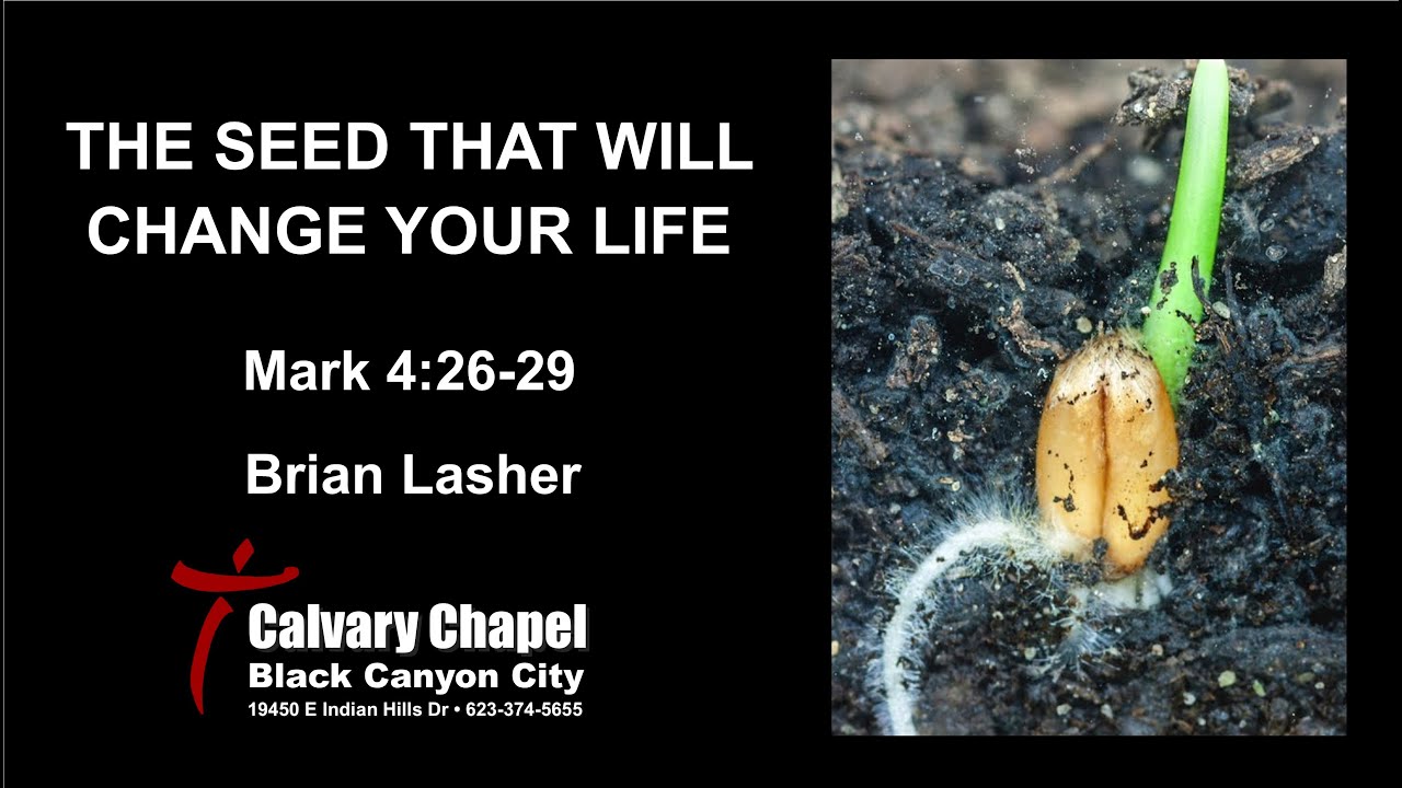 The Seed That Will Change Your Life Mark 4:26-29 Brian Lasher Sept 1 ...