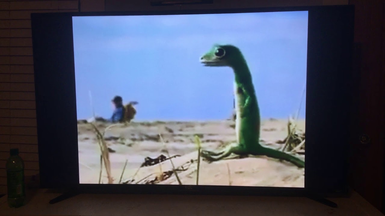 GEICO insurance - the gecko hangs out on the beach Commercial - YouTube