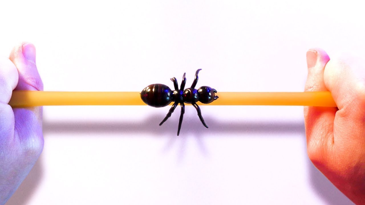 Ant on a Rubber Rope - Visual Explanation - YouTube