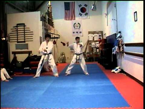 Tae Kwon Do Yoo-Shin form rear view