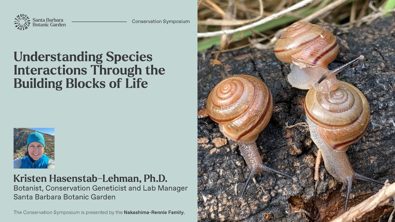 Understanding Species Interactions Through the Building Blocks of Life ...