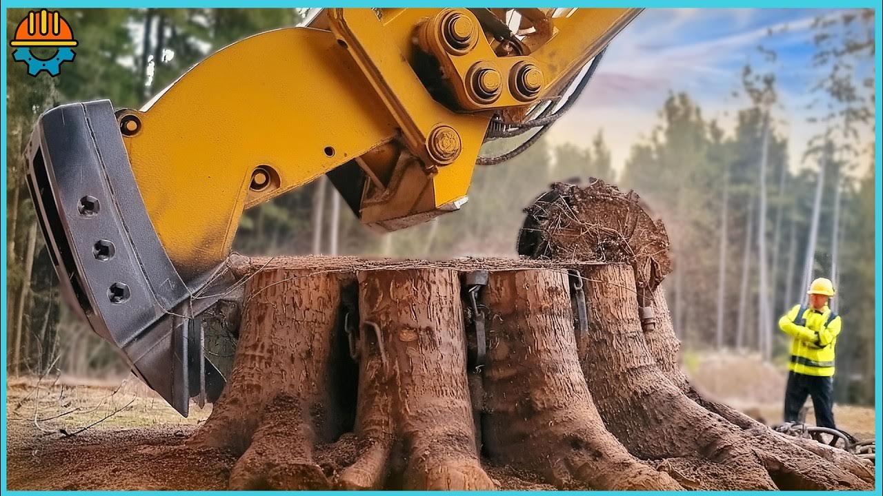 99 AMAZING Fastest Big Tree Removal Bulldozers Working At Another Level ...