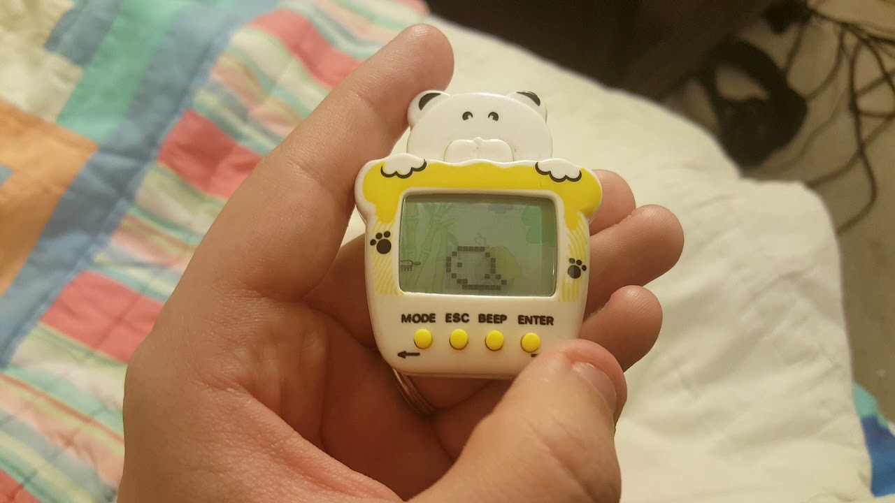 Strange bear virtual pet! - YouTube