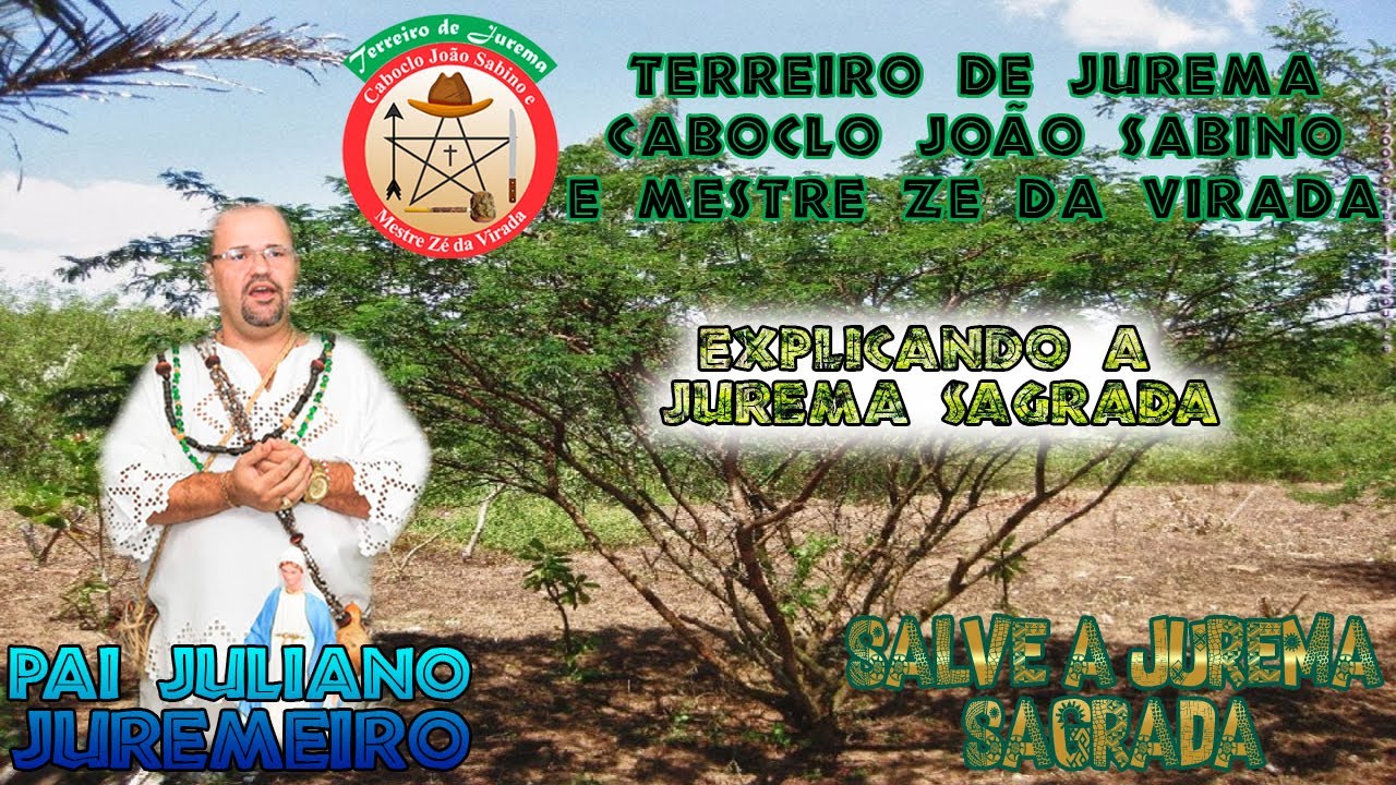 JUREMA SAGRADA - EXPLICANDO A JUREMA - VIDEO 10 - YouTube