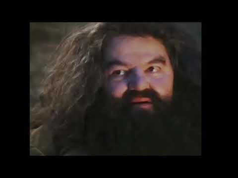 Latest Hadoti Dubbed Funny Video || Harry Potter Hadoti Version || Madliz