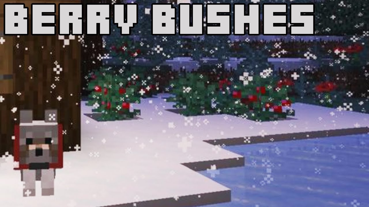 Minecraft 1.14 News: Berry Bushes, First Look! - YouTube