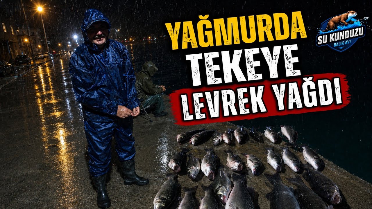 DAYI LEVREKTEN ÇOK FENA KORKTU 🤭🙂YEM CANLI KARİDES 🦐 KARADENİZİN KOYU ...