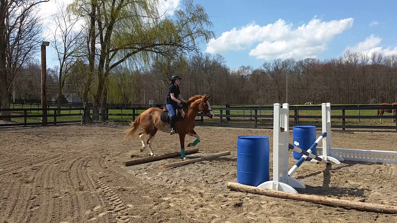 The Clover Stables Spring(65) - YouTube