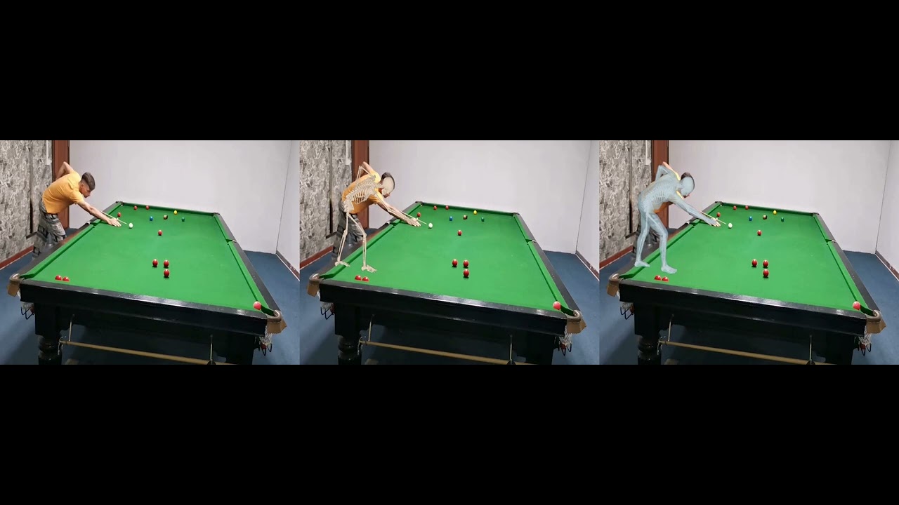 HSMR Human Skeleton and Mesh Recovery) tested - YouTube