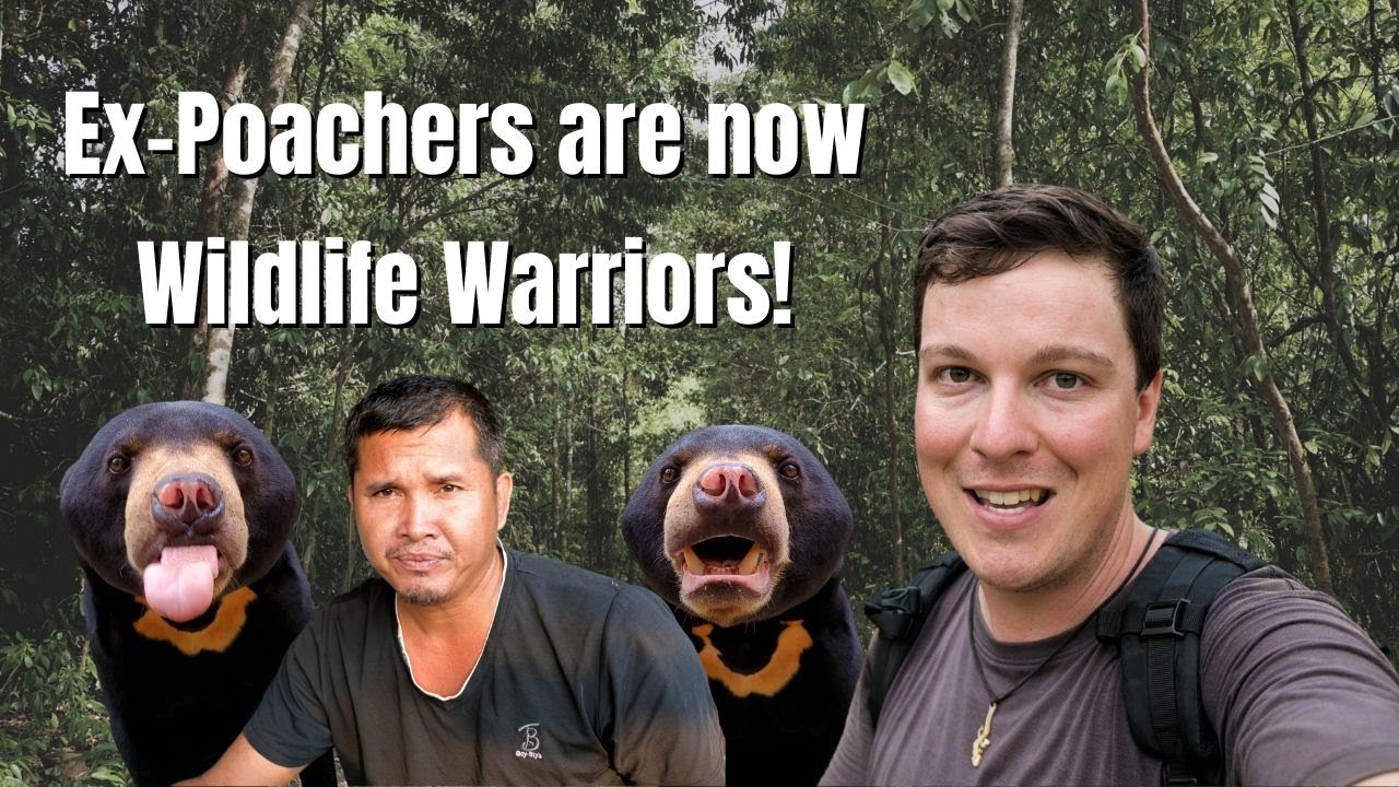 Wildlife Rescue in the Cambodian Jungle! - YouTube