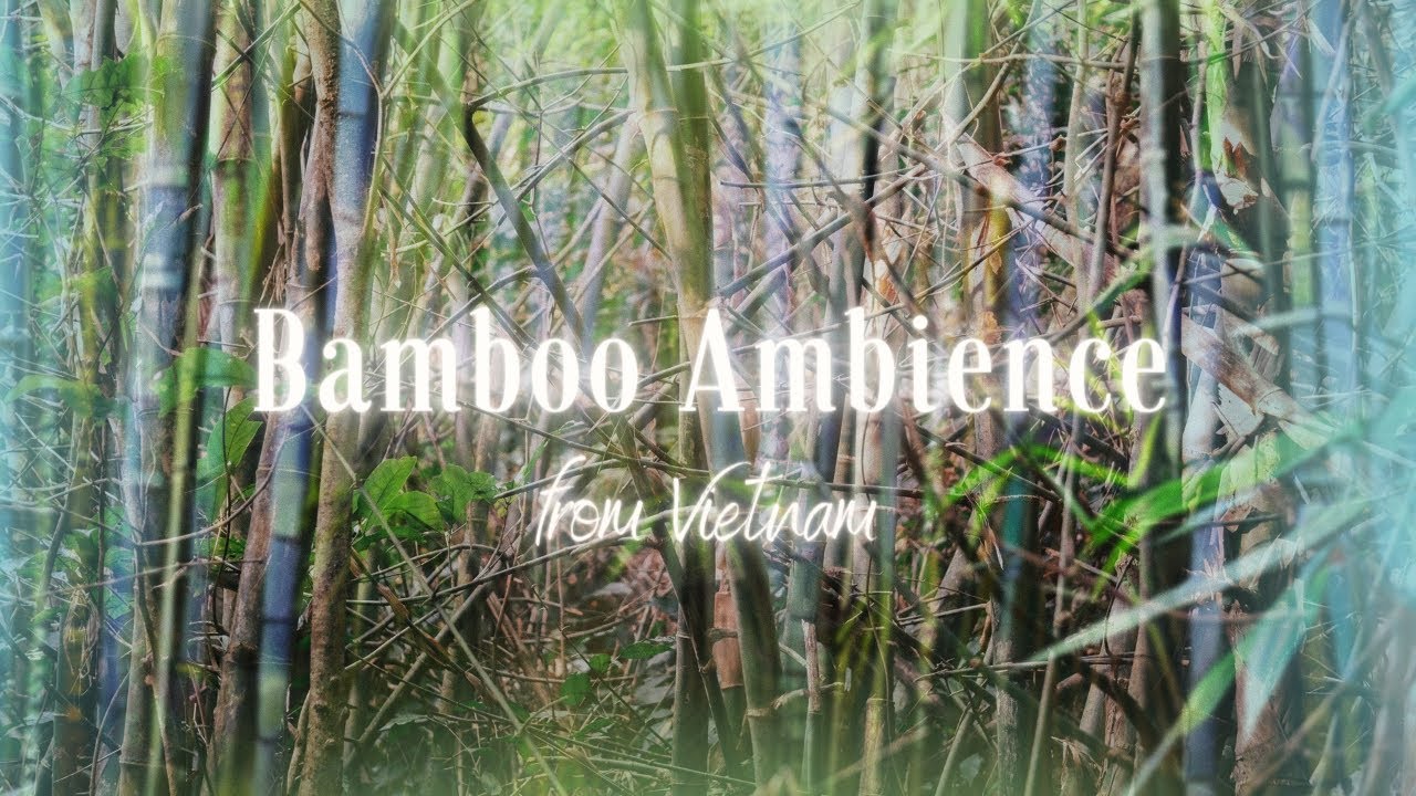 The sound of creaking bamboo - YouTube