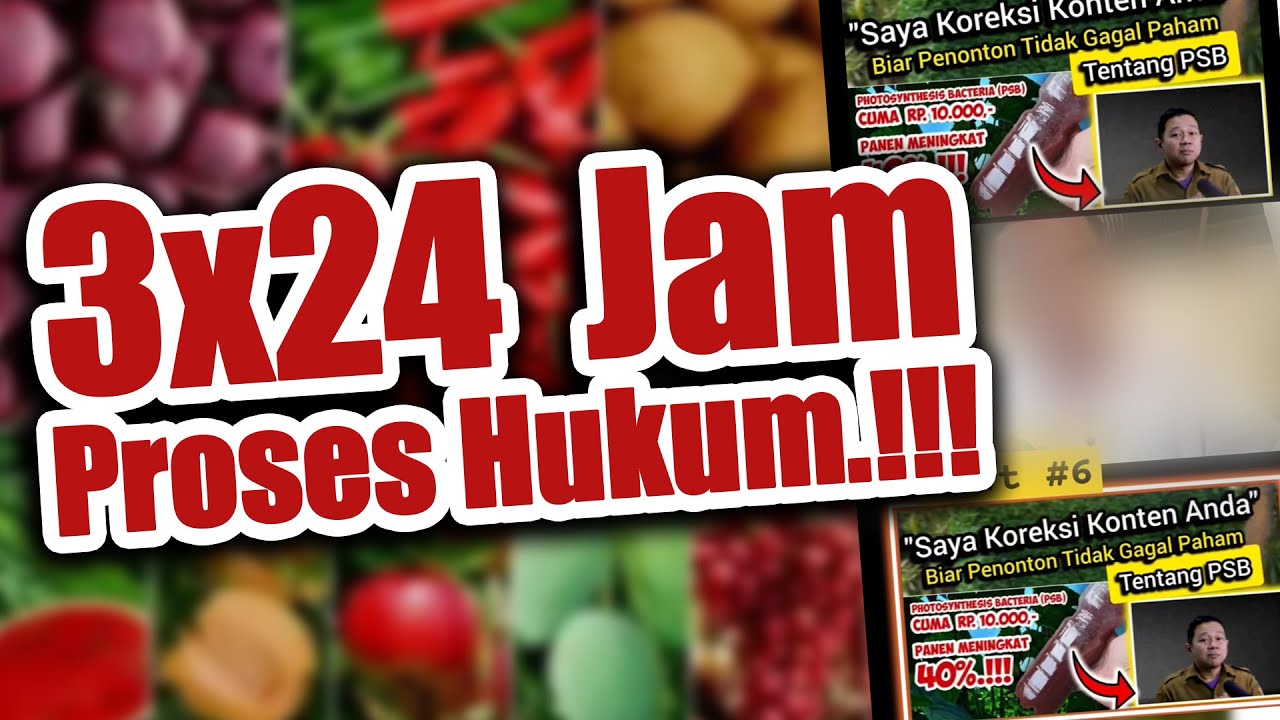 DALAM 3 x 24 JAM, SAYA TUNGGU PERMINTAAN MAAFMU - YouTube