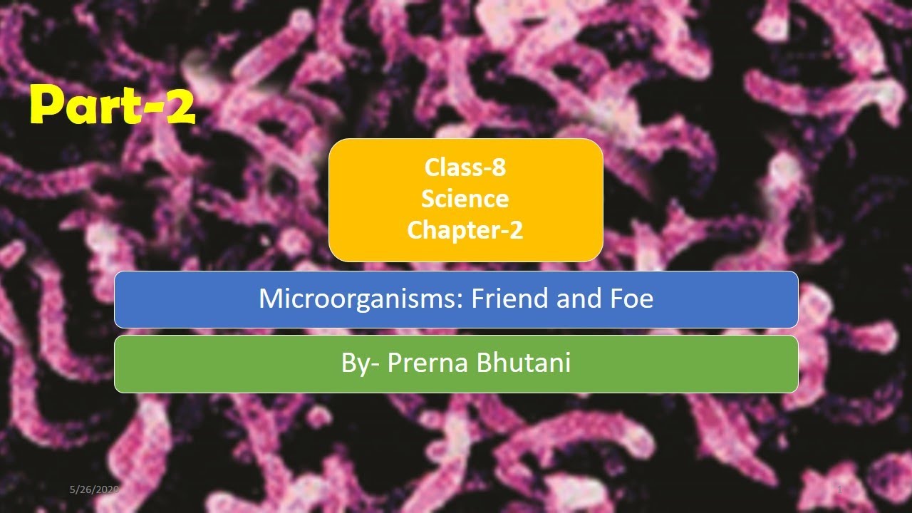 Microorganisms: Friend and Foe Class-8 Science Part-2 - YouTube