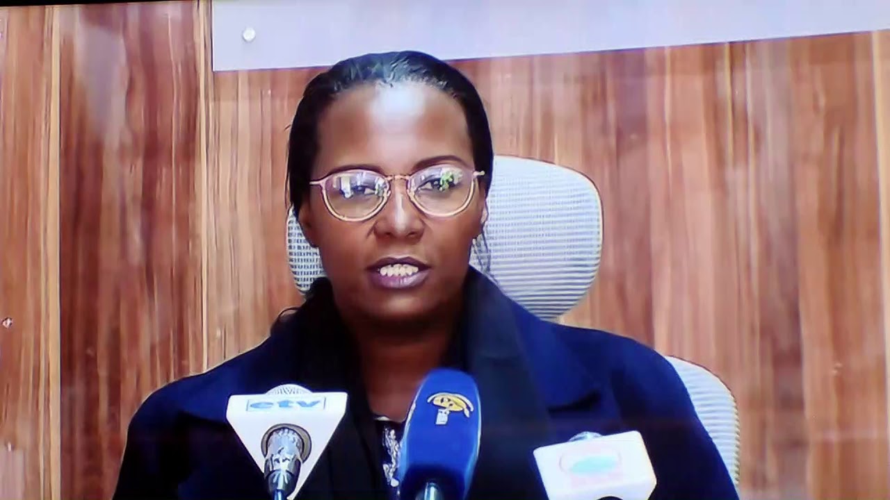 Adanech Abebe, Ethiopian General prosecutor - YouTube