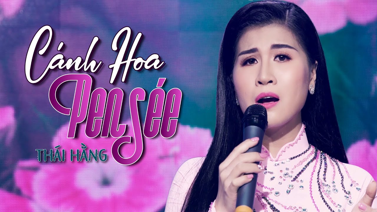 Cánh Hoa Pensee - Thái Hằng (Top 4 Solo Cùng Bolero 2019) | 4K MV ...