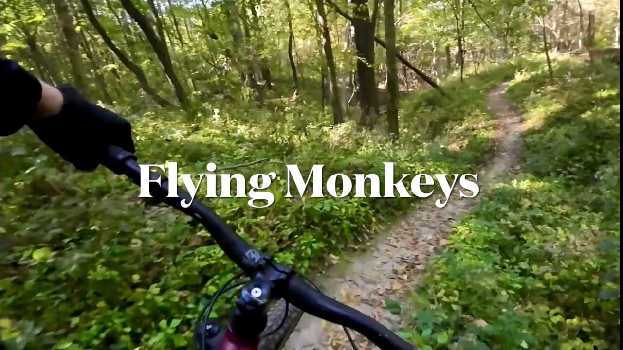 Flying Monkeys - Kinsey Park - Peoria, IL - Mountain Biking - YouTube