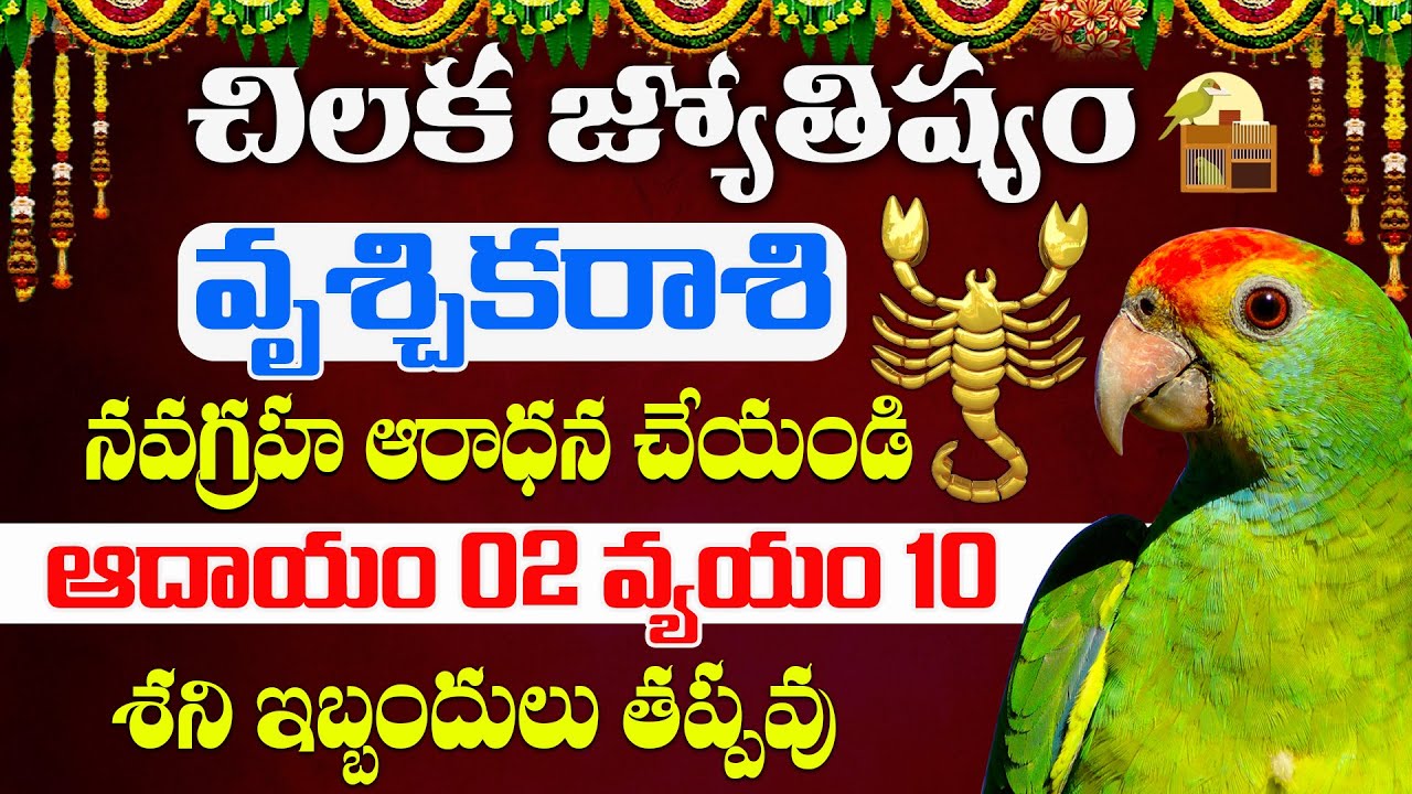 Vruschika Rasi Parrot Astrology June 2025 || Chiluka Jyothishyam ...