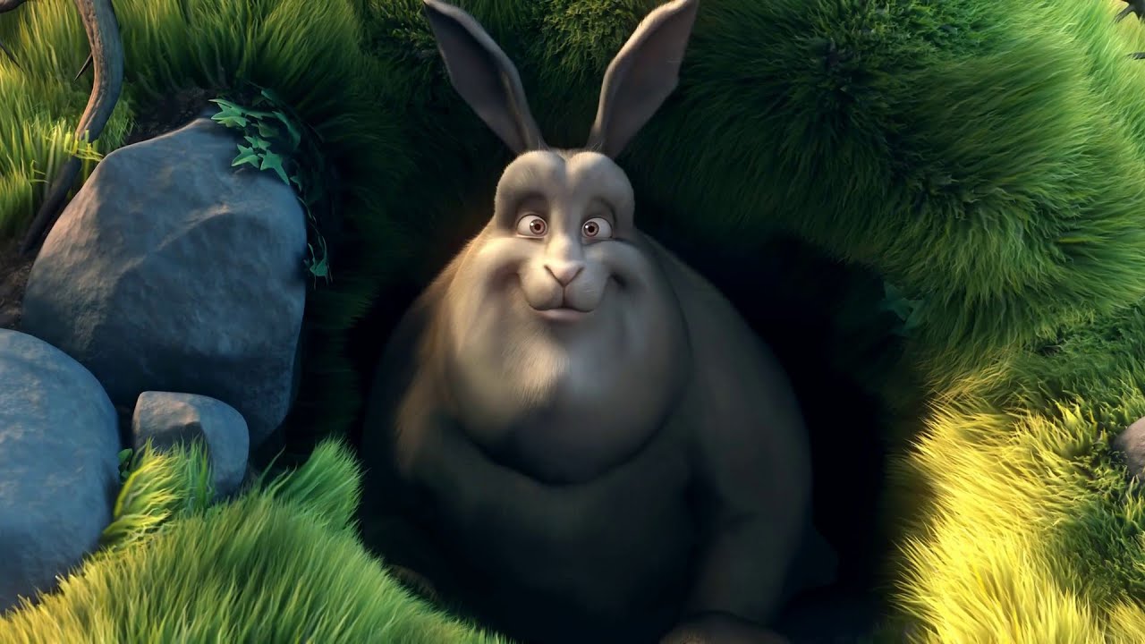 Test Bunny 1 - YouTube