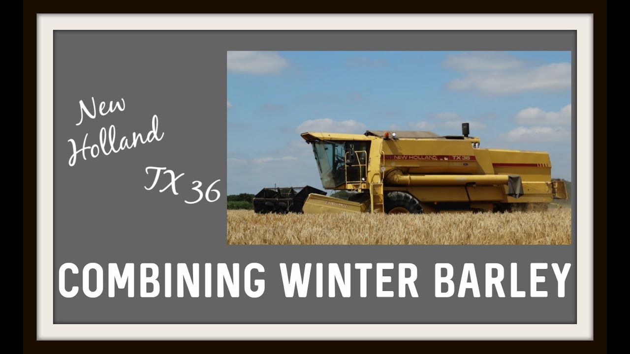 New Holland TX36 Combining Winter Barley - YouTube