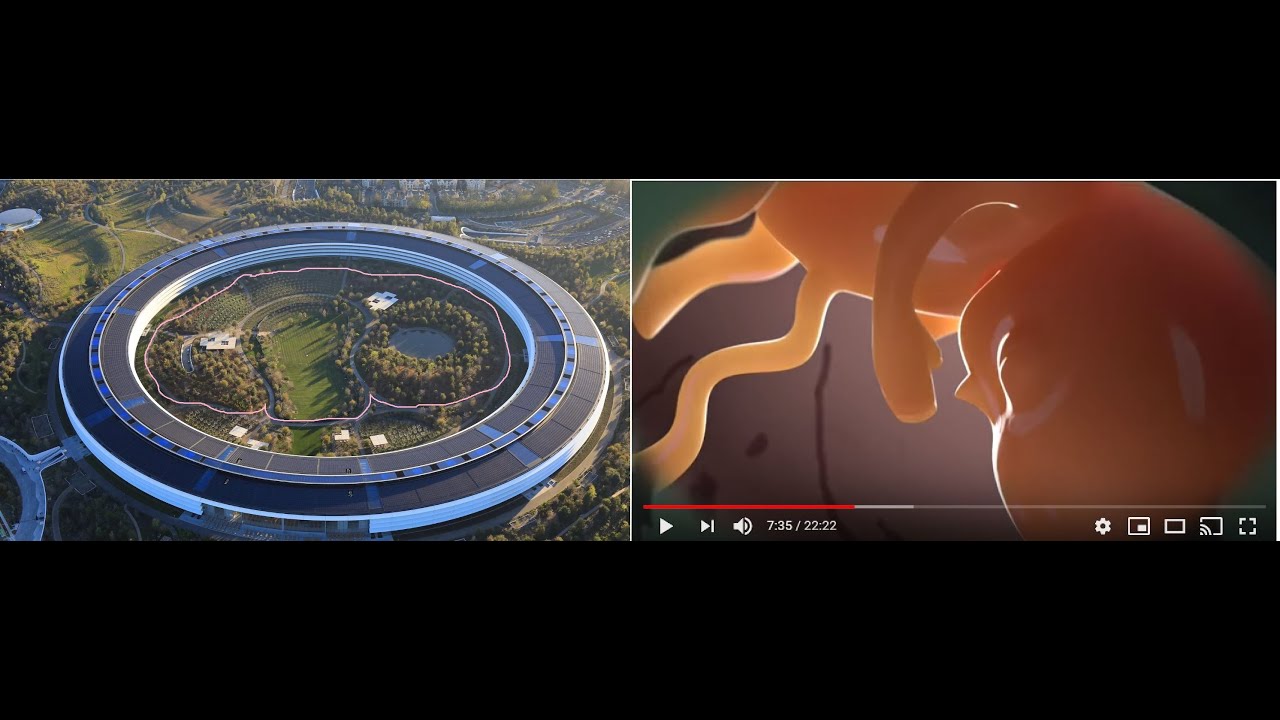 NEW APPLE HQ SHAPED LIKE A BABY IN THE WOMB, UNUSUALLY HIGH NUMBER OF ...