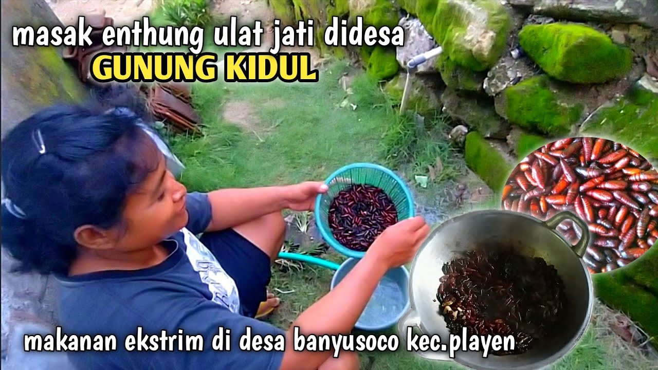 kampung jawa gunung kidul,suasana sore masak enthung ulet jati ...