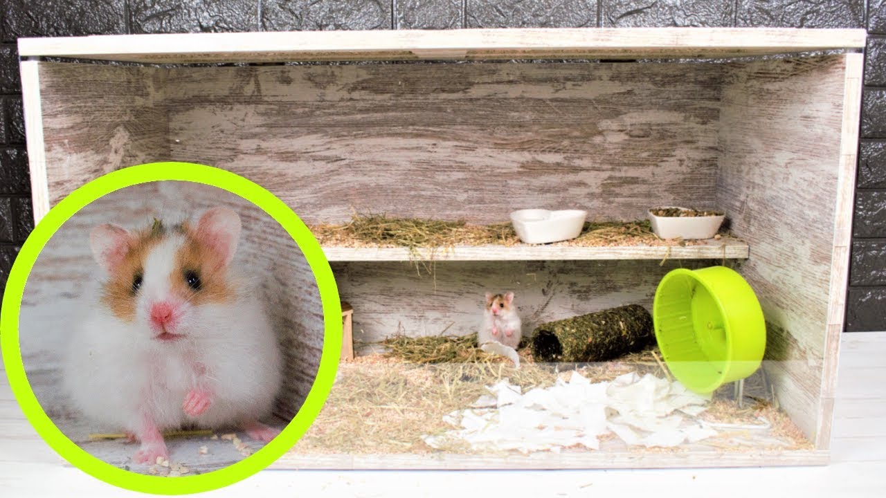 COMO HACER CASA PARA HAMSTER CASERA DE MADERA 🐹 ACUARIO O TERRARIO PARA ...