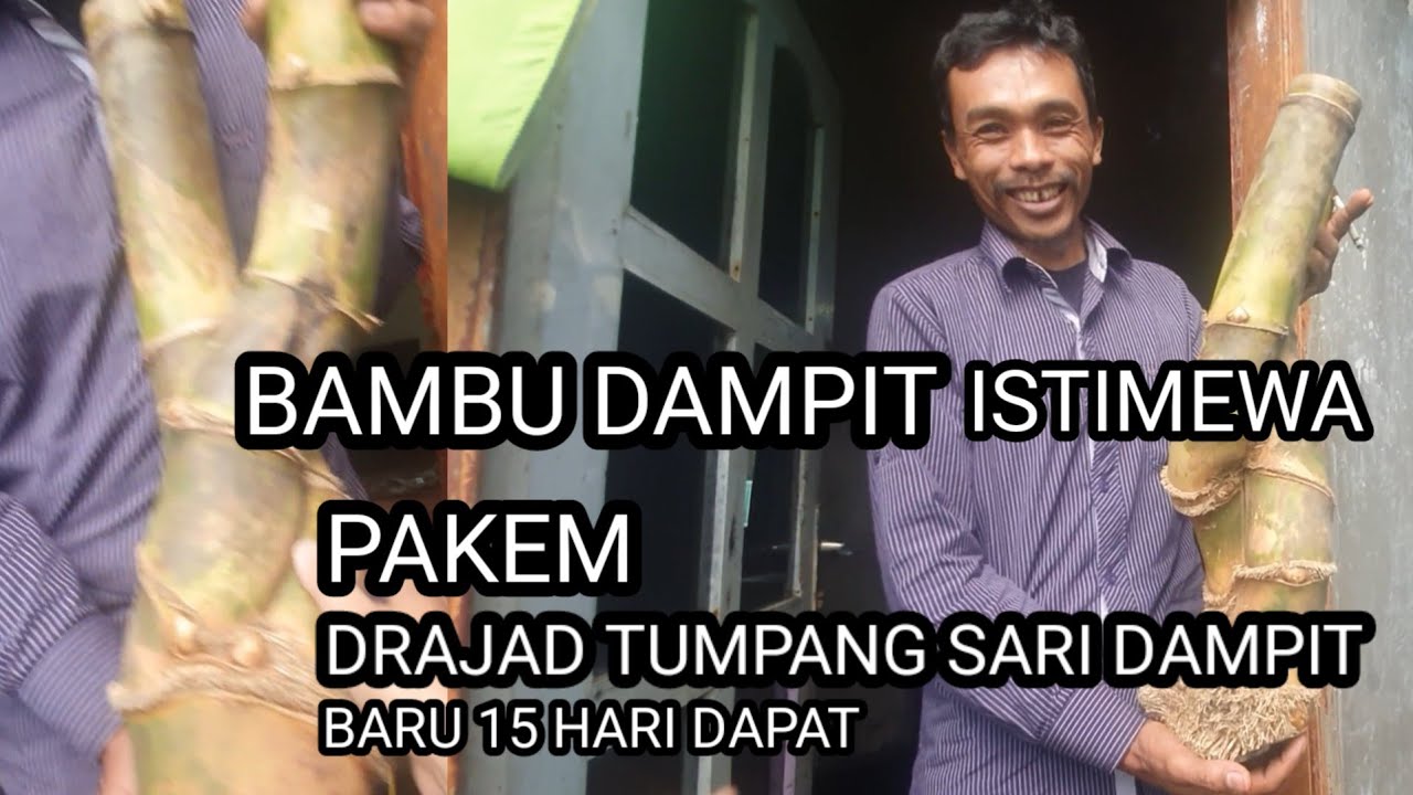 BAMBU AMPEL DAMPIT ISTIMEWA PAKEM DRAJAT TUMPANG SARI DAMPIT PAK DARMAN ...