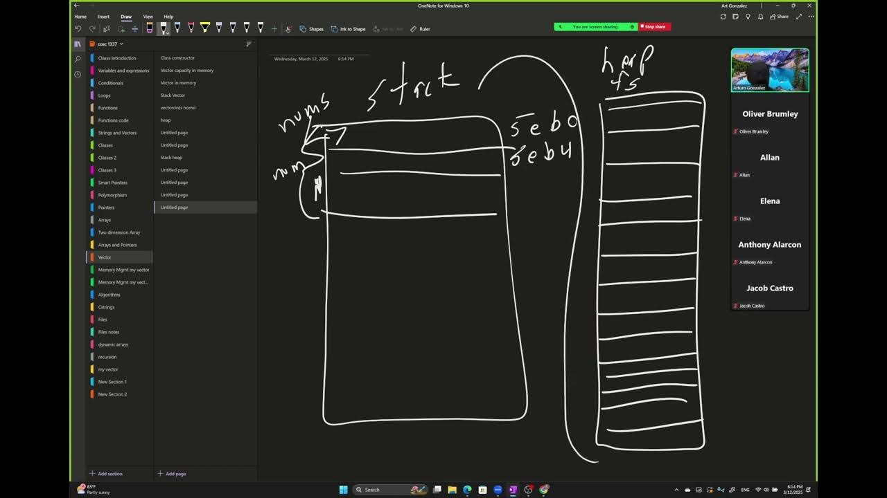 031225 COSC 1337 C++ Vector in stack and heap: memory addressing - YouTube