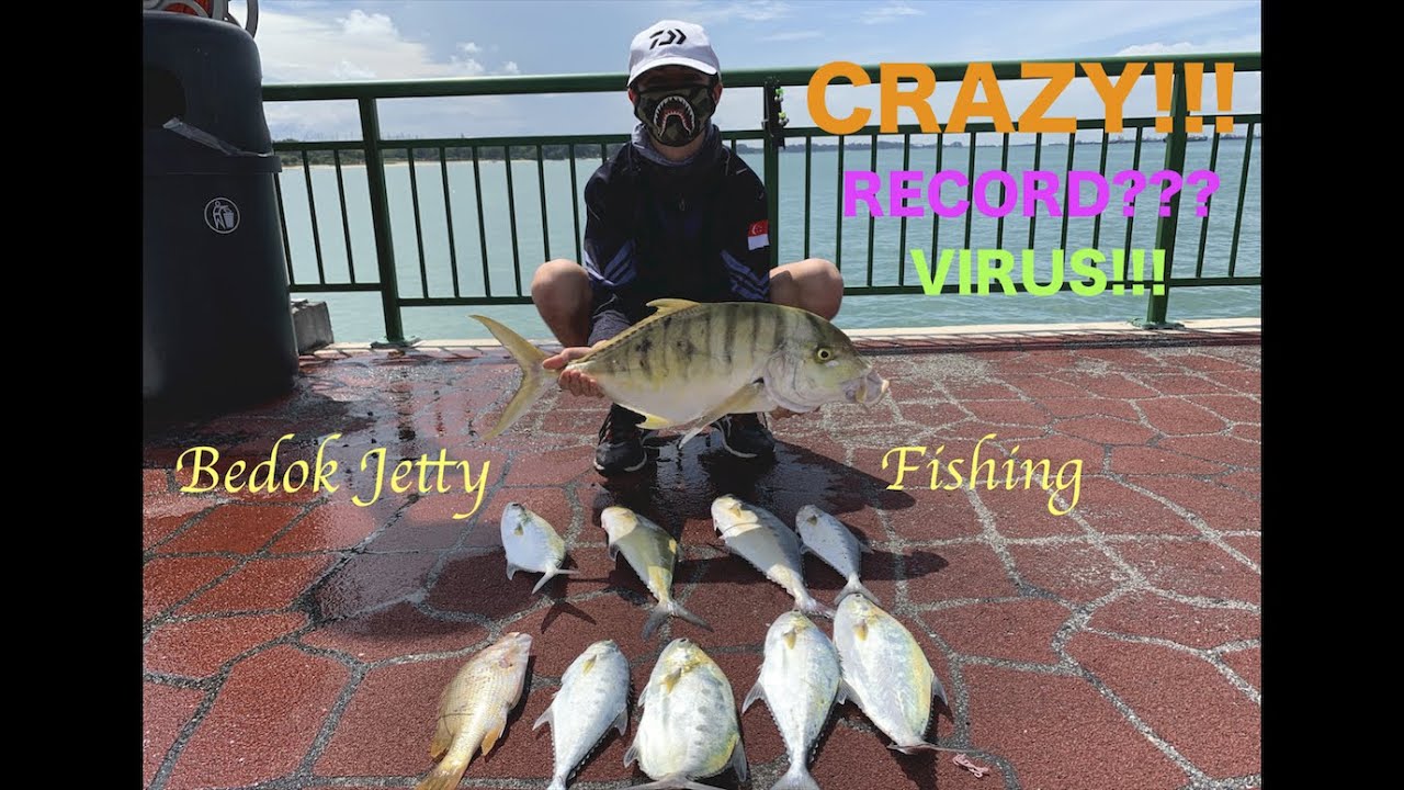 Fishing At Bedok Jetty!!! [Best Day Ever] [Crazy Queenfish] - YouTube
