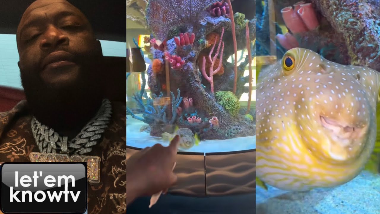 Rick Ross Says His Fish “Bubble” Is Not A Real Fish But A Security ...