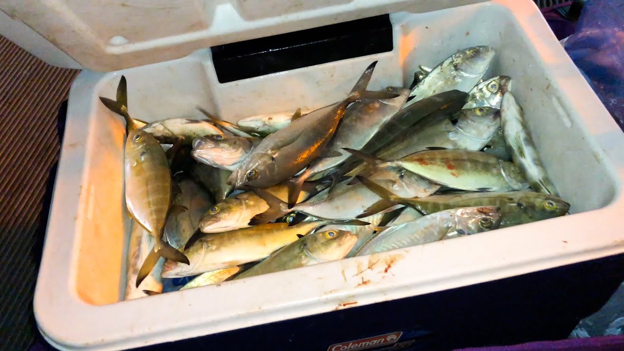 Blue Runner Catch & Cook | Florida - YouTube