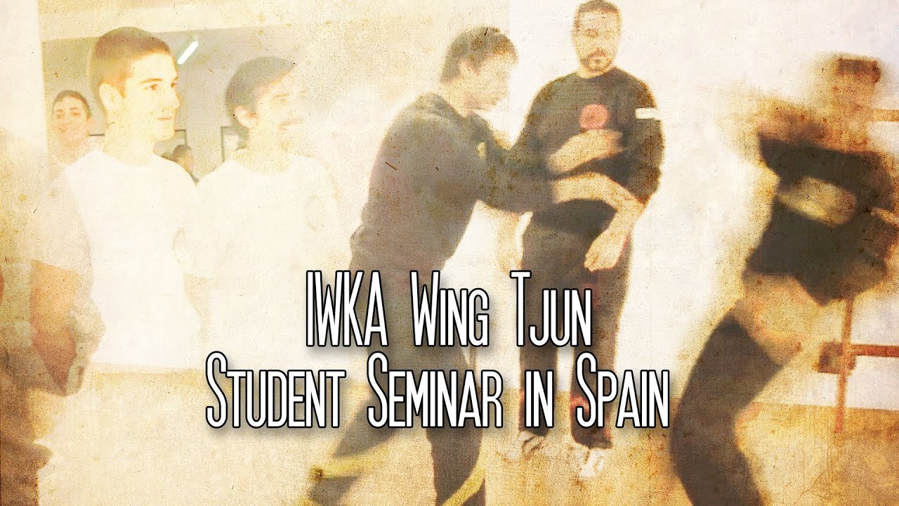 Internal Wing Chun (IWKA Wing Tjun) Student Seminar in Spain - YouTube
