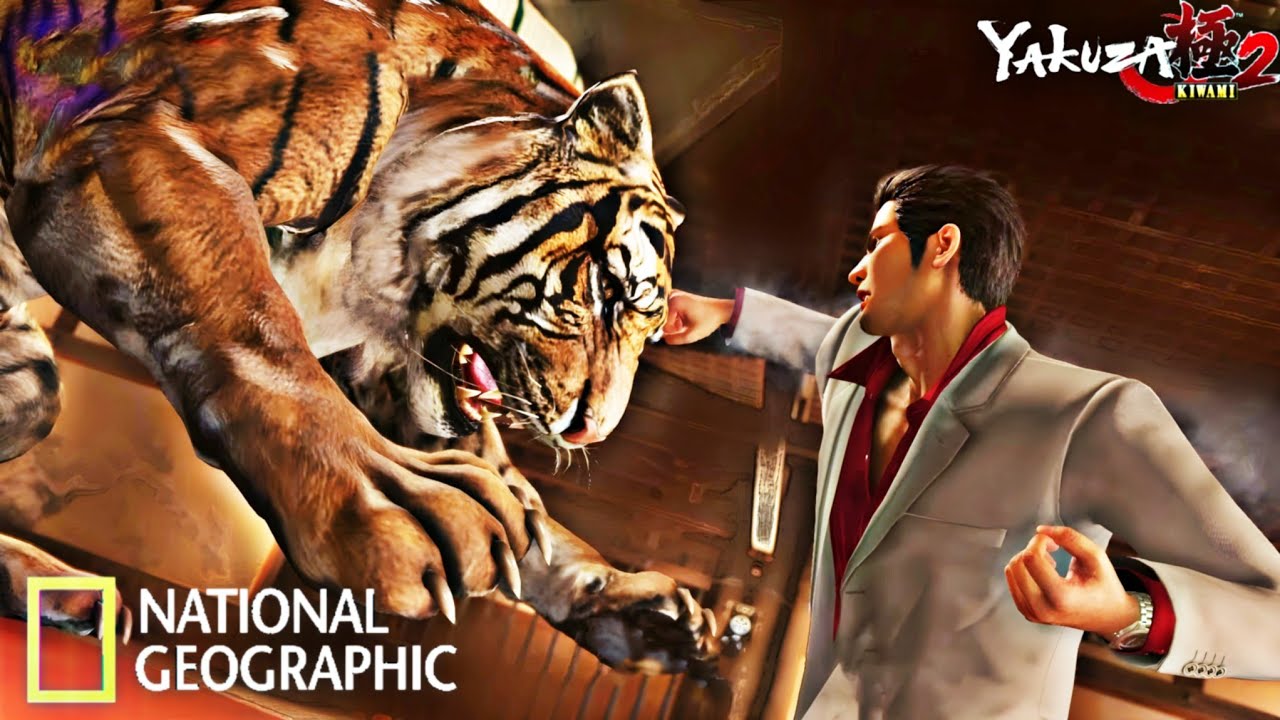 Kiryu Teaches you to deal with Tigers... Tiger Survival for your Life # ...