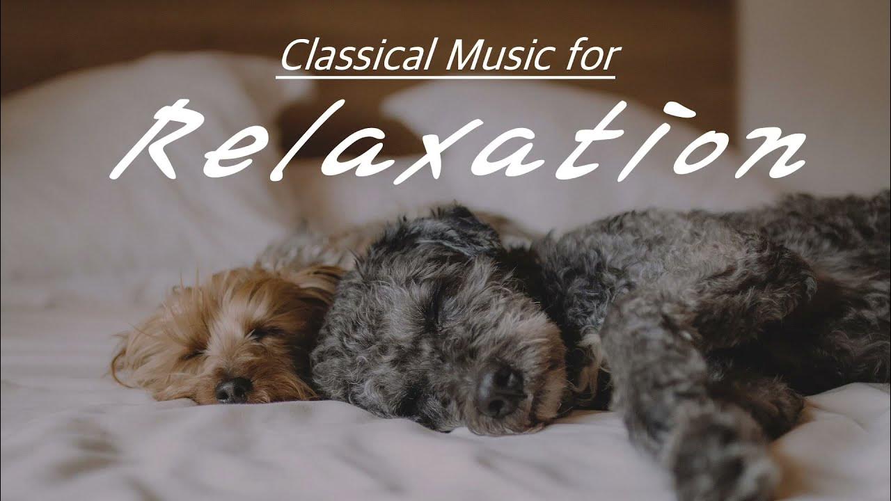 [NO ADS, 2 HOURS] Classical Music for Relaxation | Beethoven, Mozart, Bach, Tchaikovsky, Vivaldi ...