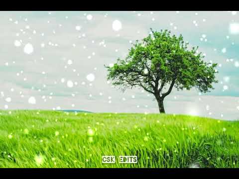 melodi song bgm 💞💞💞 status