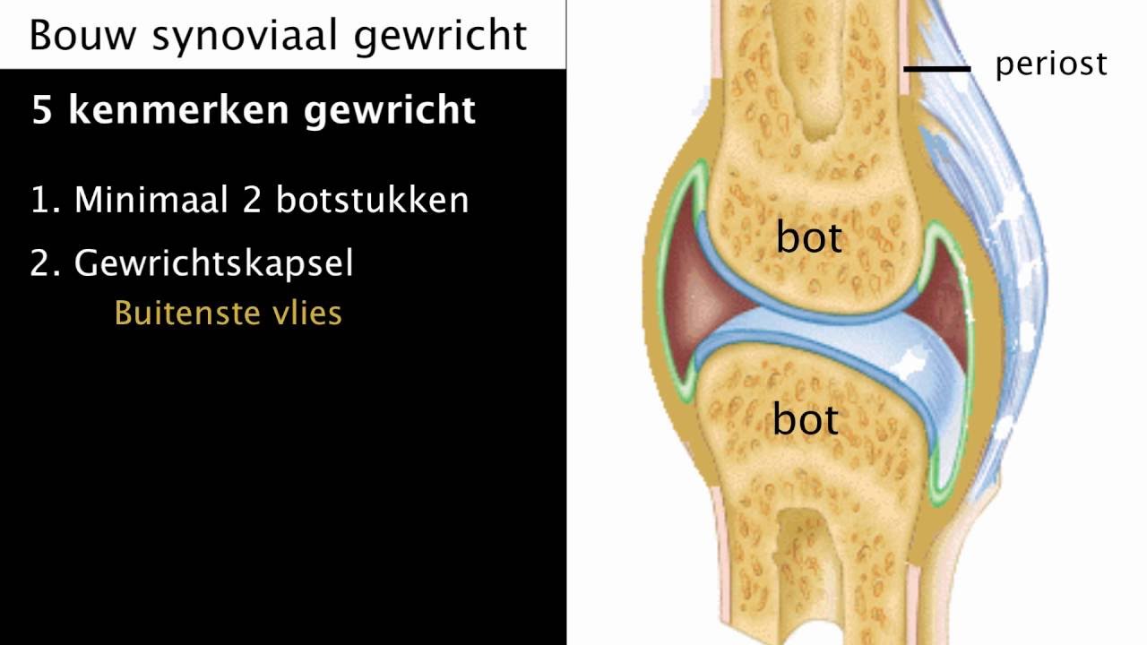 Bot Versus Gewricht AC Gewricht – Oorzaak En Behandeling