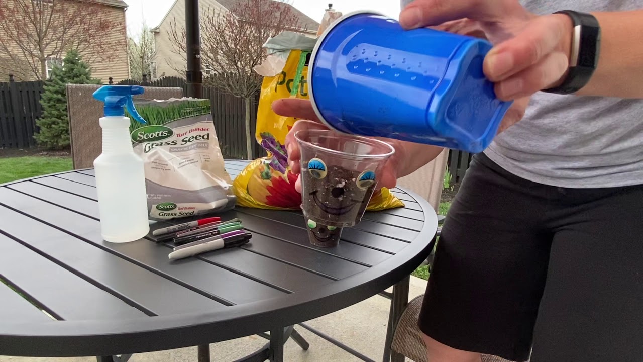 Grow A Grass Buddy with Me! - YouTube