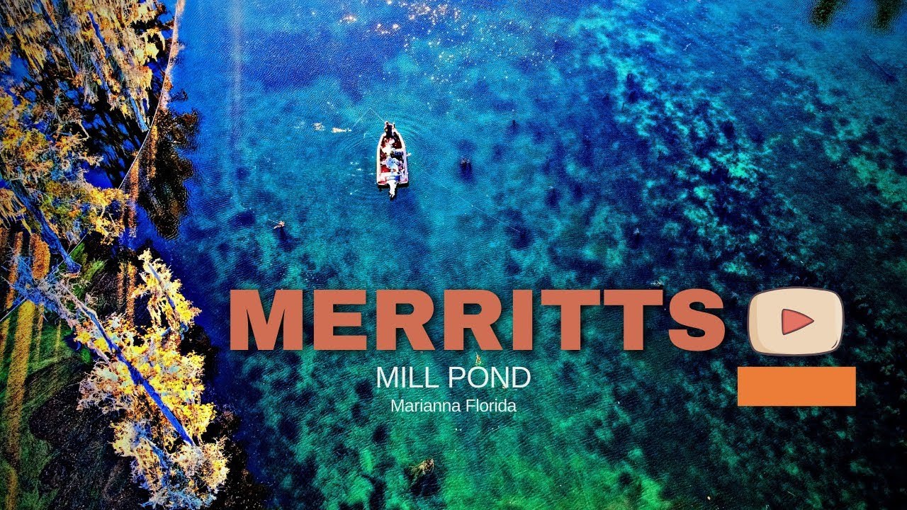 Cold Emerald Springs @ Merritts Mill Pond! #coldsprings #kayaking # ...