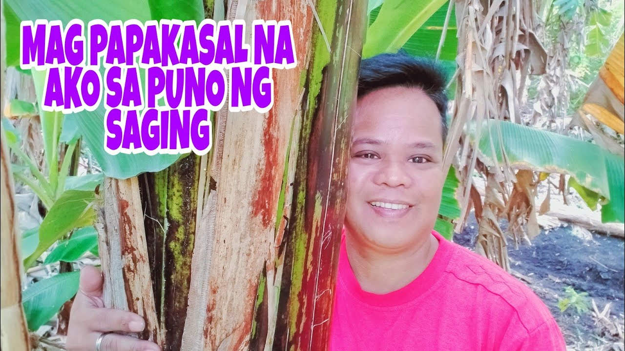 MAGPAPA KASAL NA AKO SA PUNO NG SAGING - YouTube