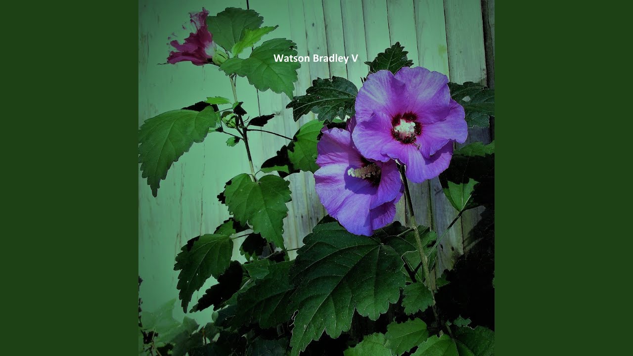 Slow Wednesday (HD instrumental) - YouTube