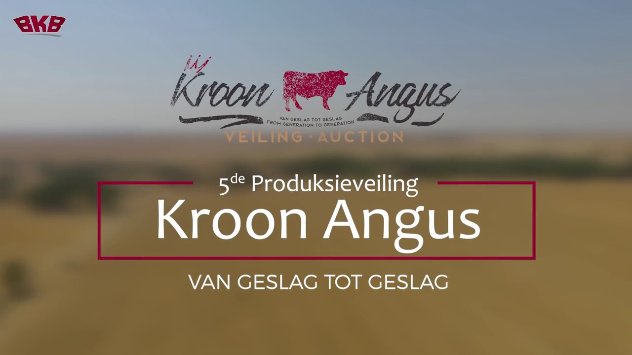Kroon Angus Veiling | 4 Oktober 2017 - YouTube